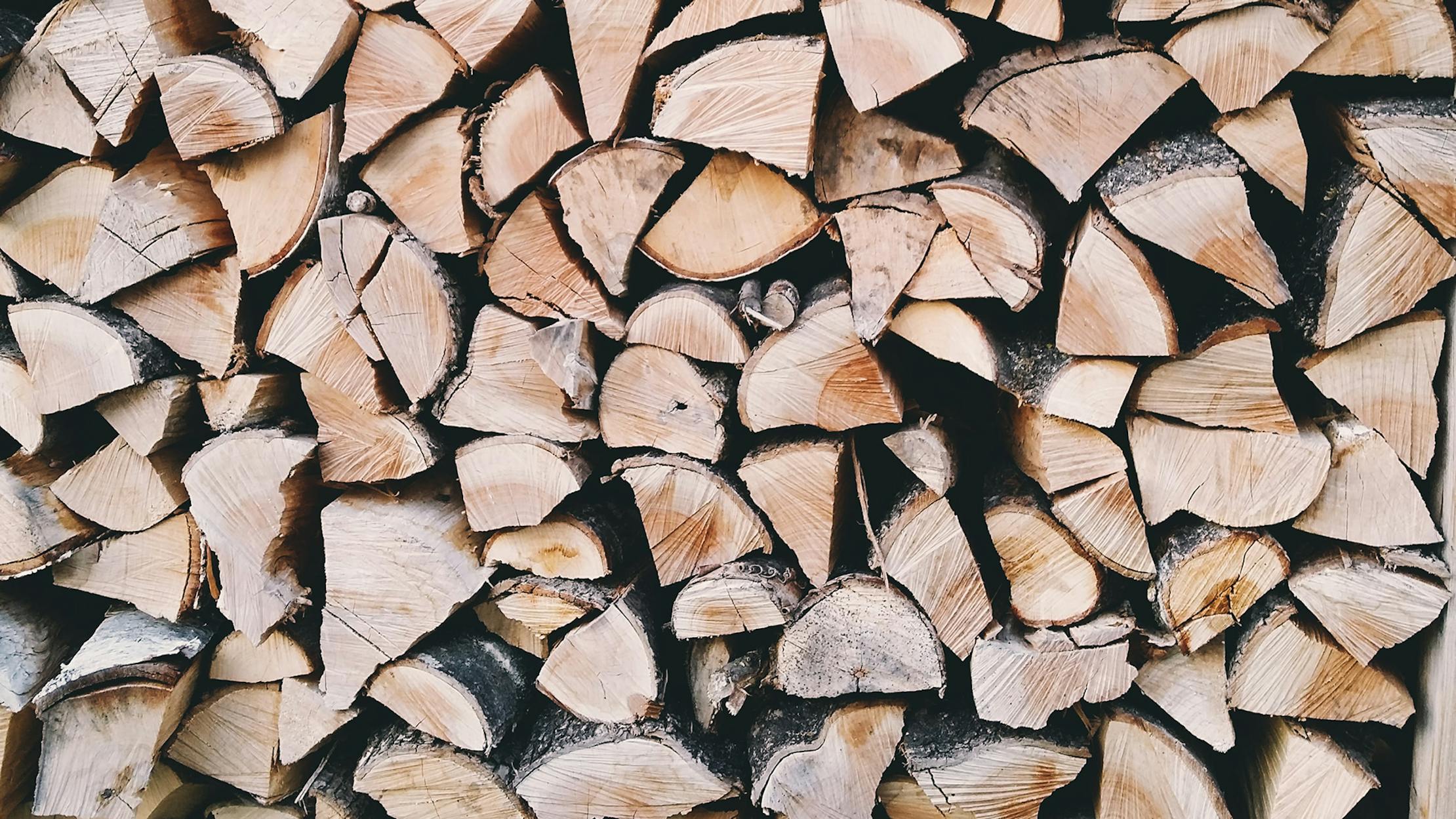 What is Wet Wood? Here's Why you Should Avoid Burning It