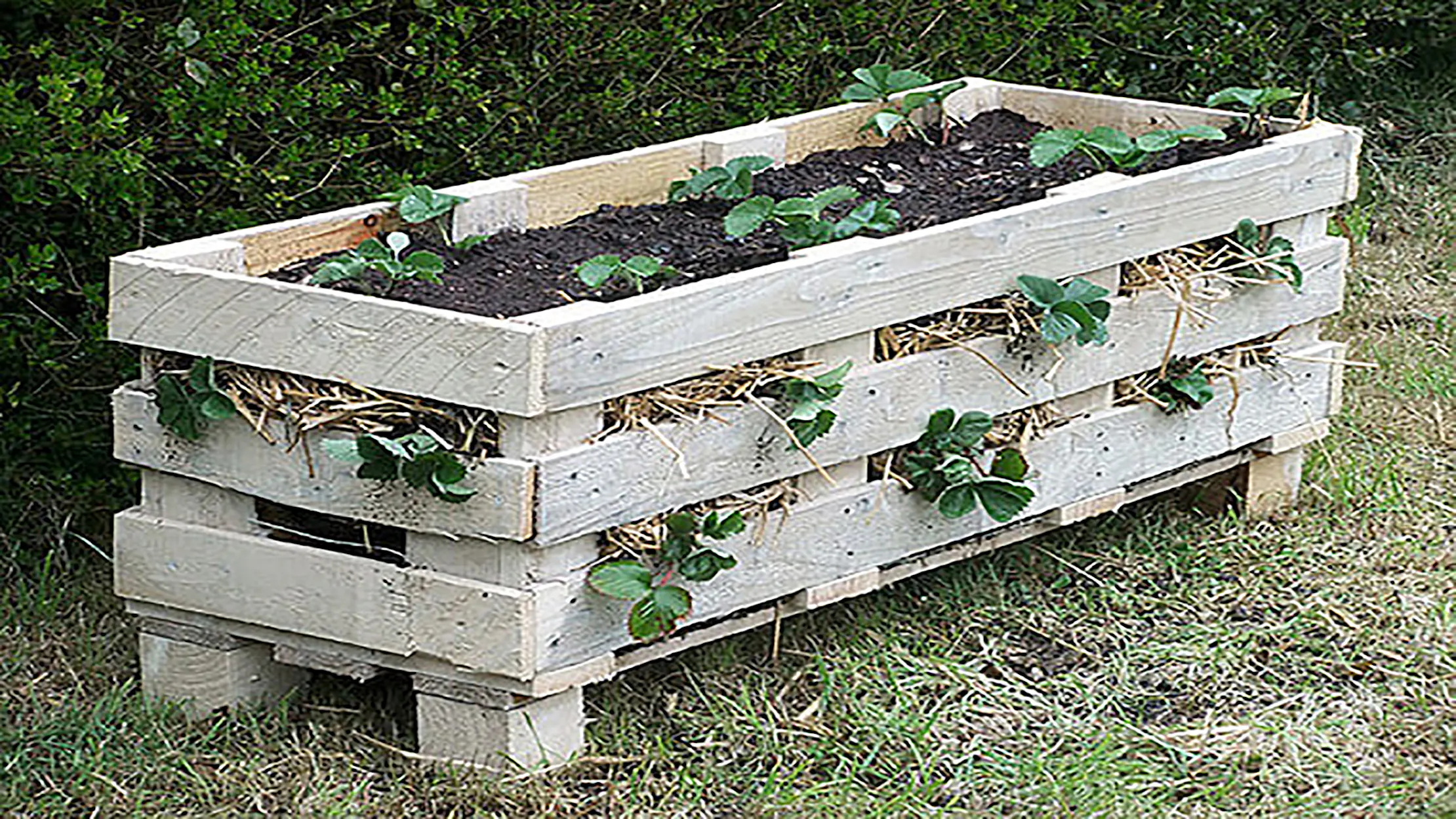 8 Great Ideas for Upcycling Pallets | Fitzpatrick Fuels