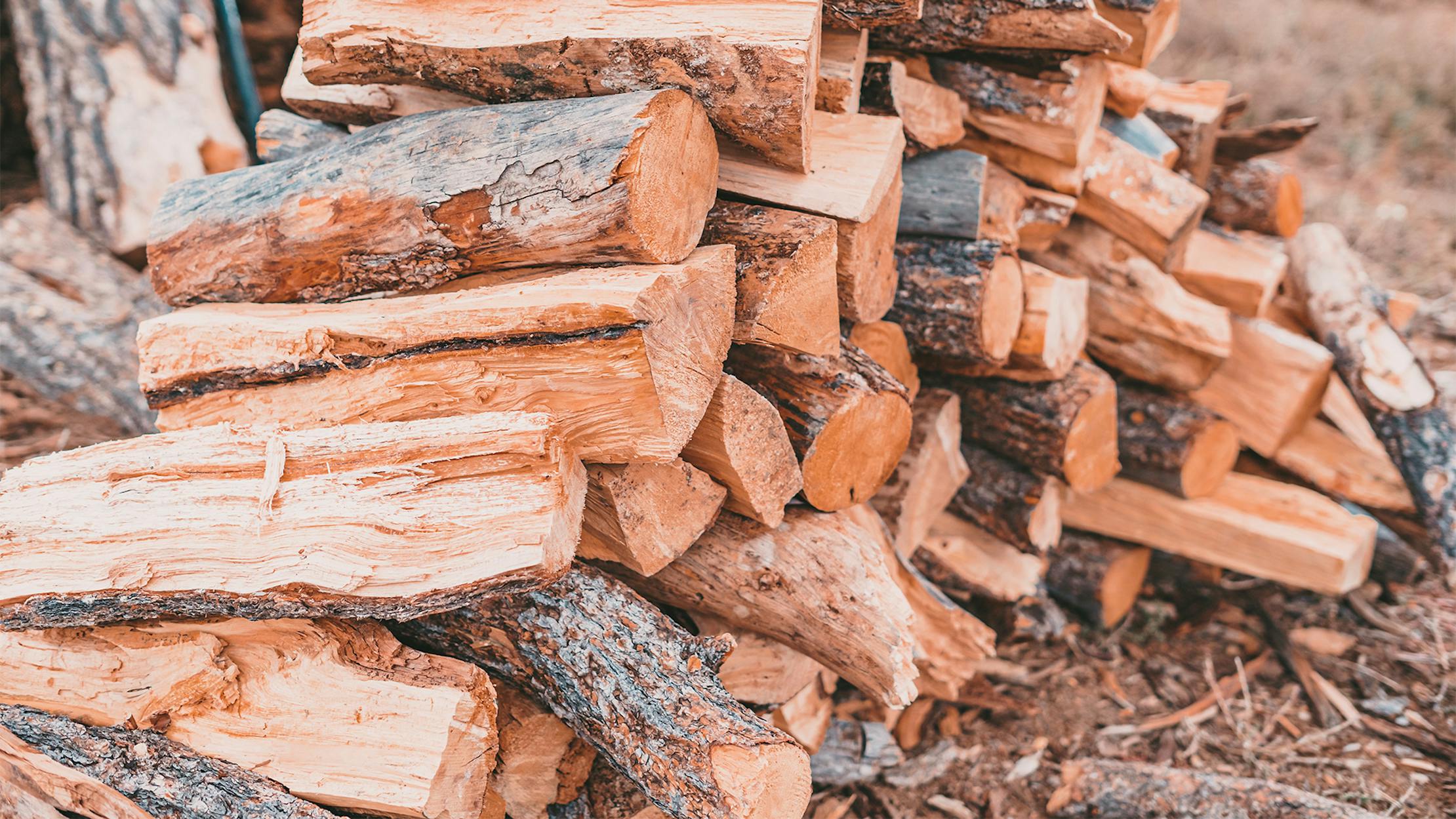 Qualities Ash, Beech, and Birch Firewood | Fitzpatrick Fuels